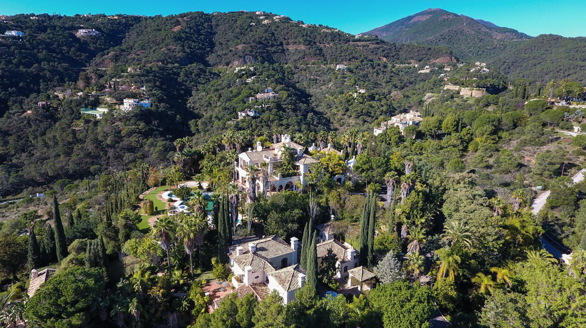 The El Madroñal Area Guide | Homerun Brokers Marbella